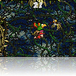 Stage Select: Bramble Scramble (Donkey Kong Country 2 - SNES ...